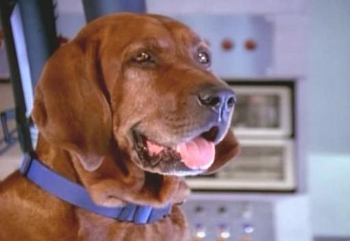 VR Troopers Zeb Jeb the Talking Dog